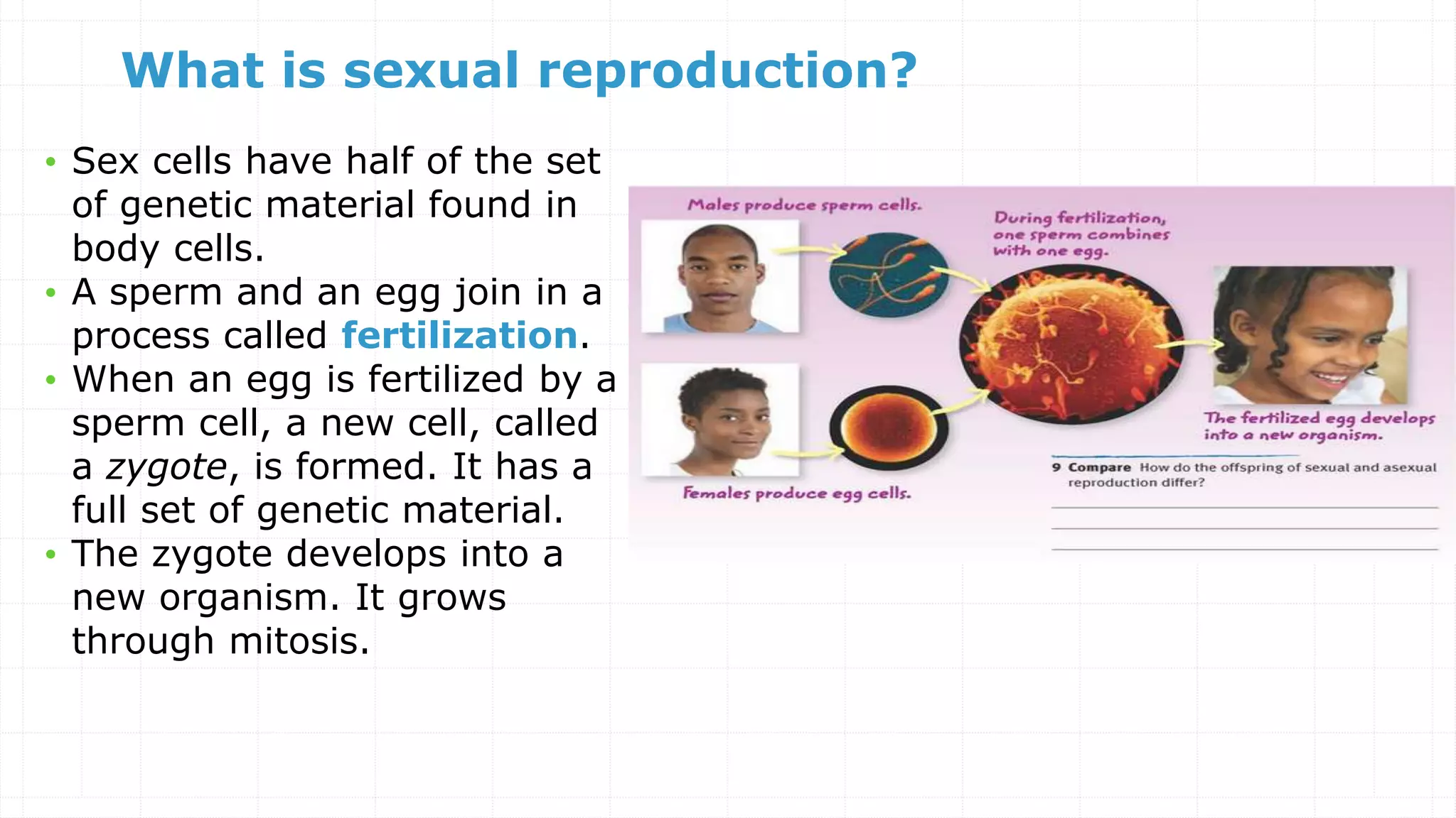 Sexual and Asexual Reproduction.pptx