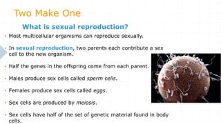 Sexual and Asexual Reproduction.pptx