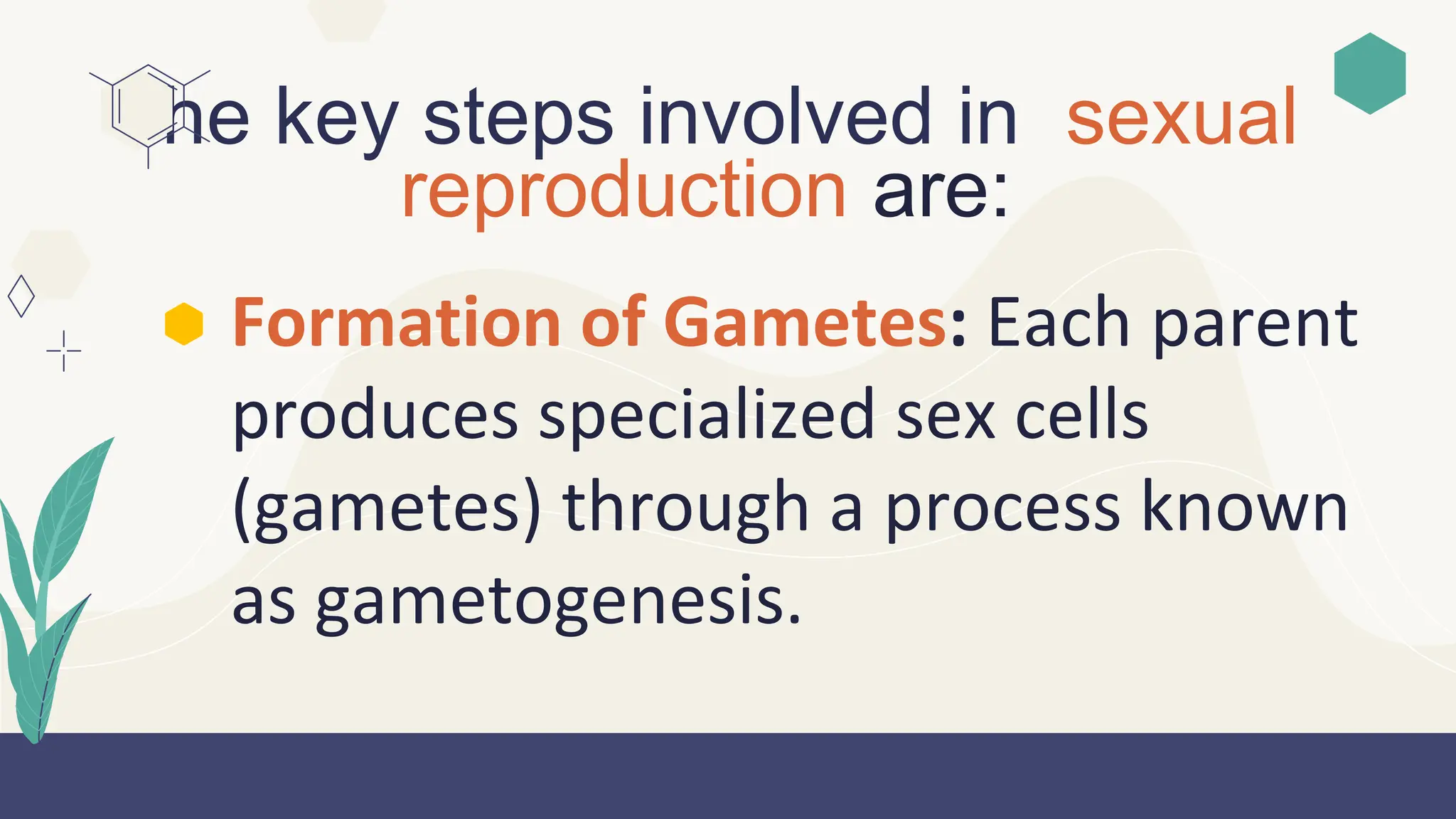 Sexual and Asexual Reproduction.pptx