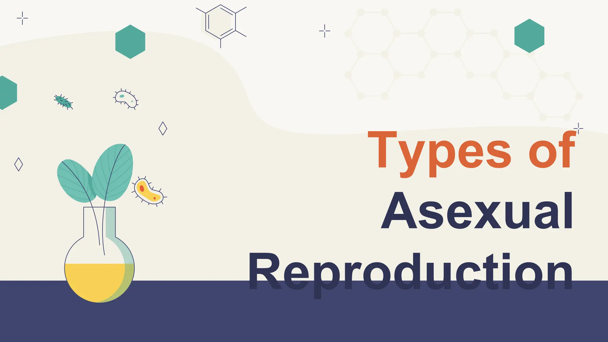 Sexual and Asexual Reproduction.pptx