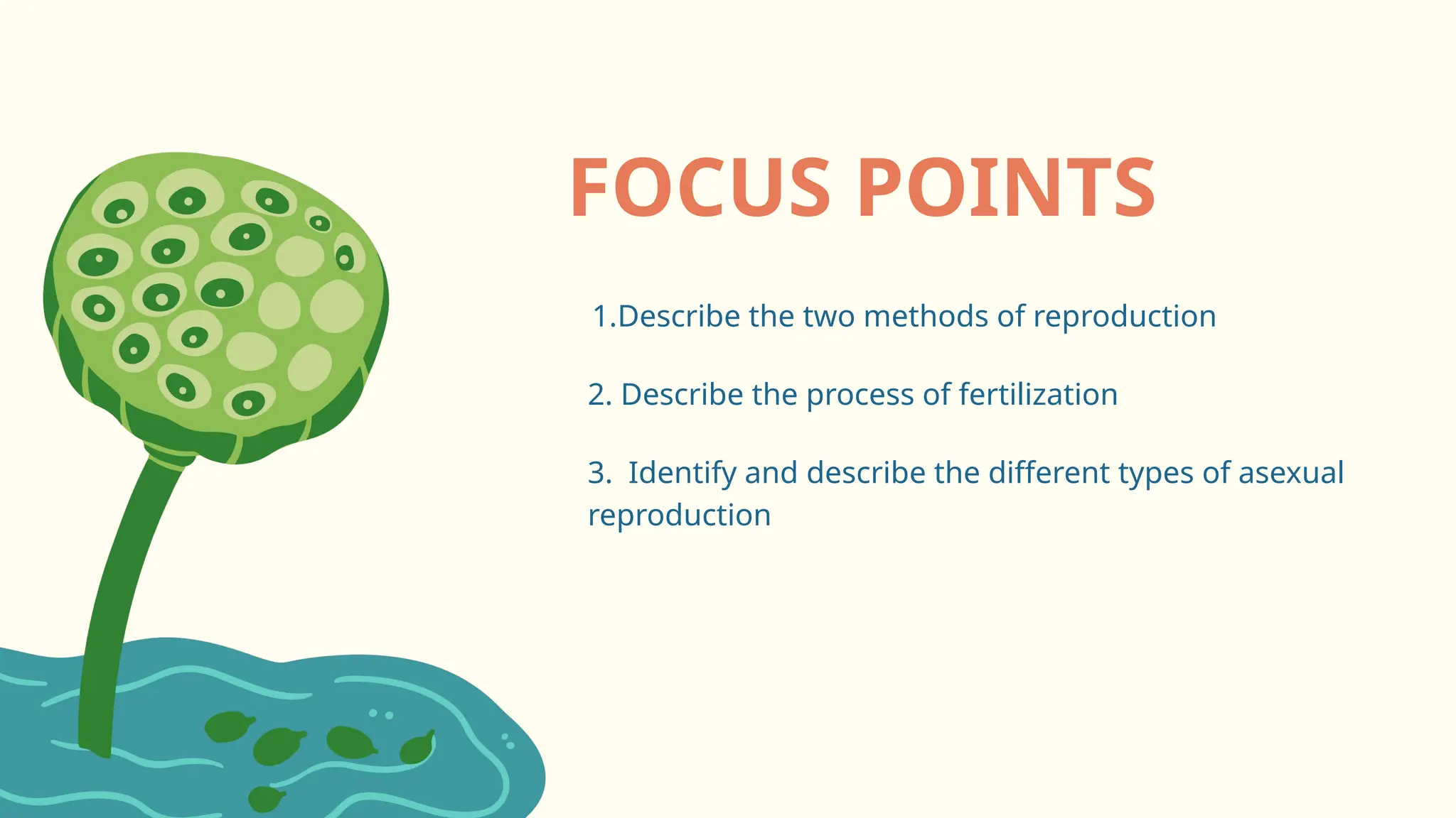Sexual And Asexual Reproduction Grade 7n Pptx