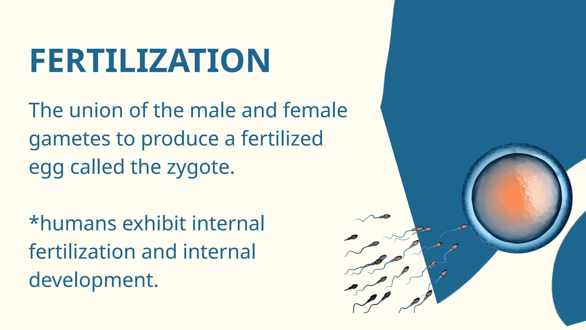 SEXUAL AND ASEXUAL Reproduction grade 7n.pptx