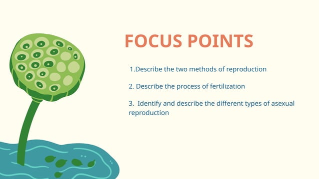 Sexual And Asexual Reproduction Grade 7n Pptx