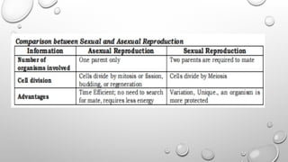 sexual and asexual reproduction science 7.pptx