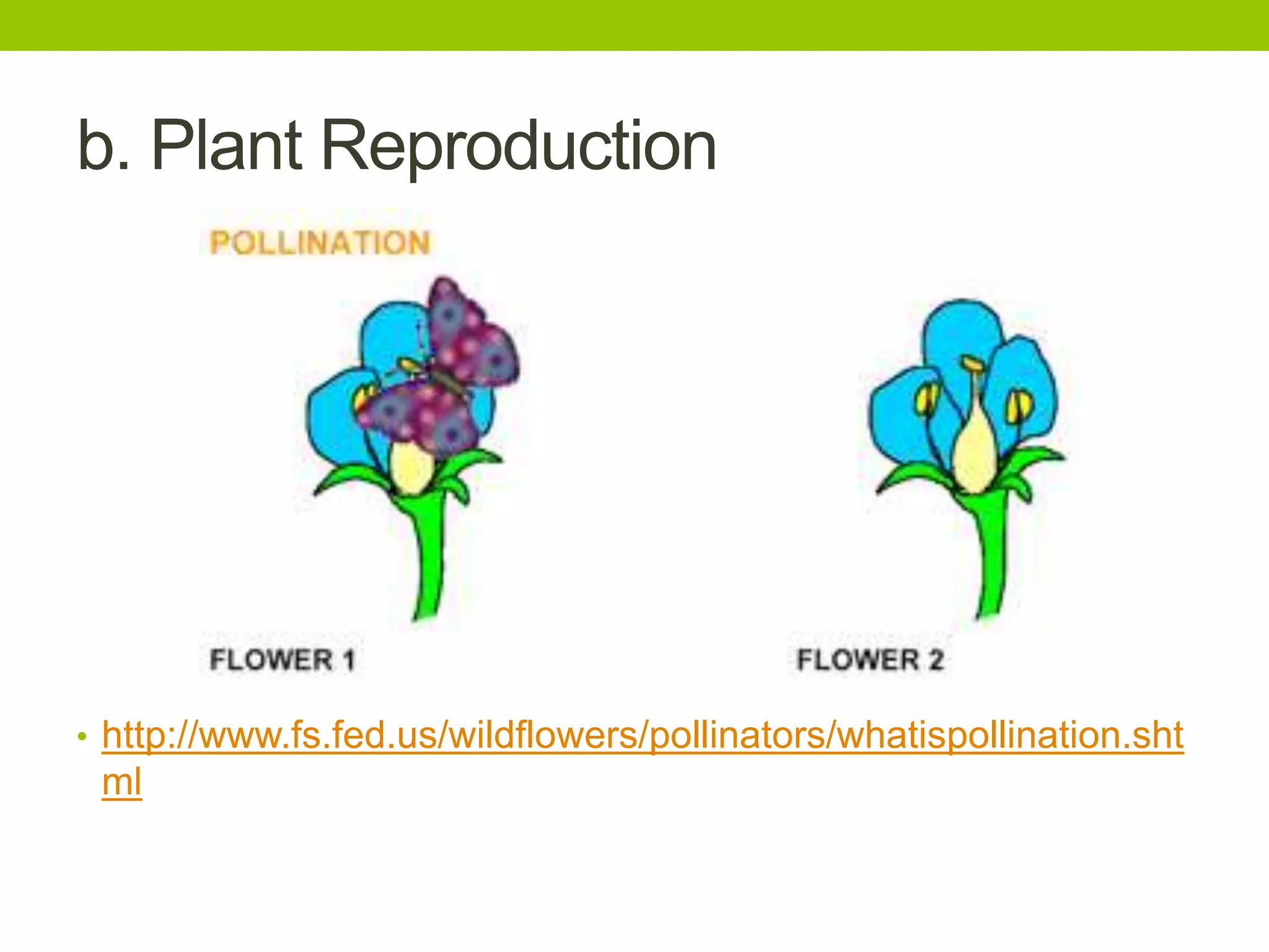 Sexual and asexual reproduction biota ed_pascual | PPT
