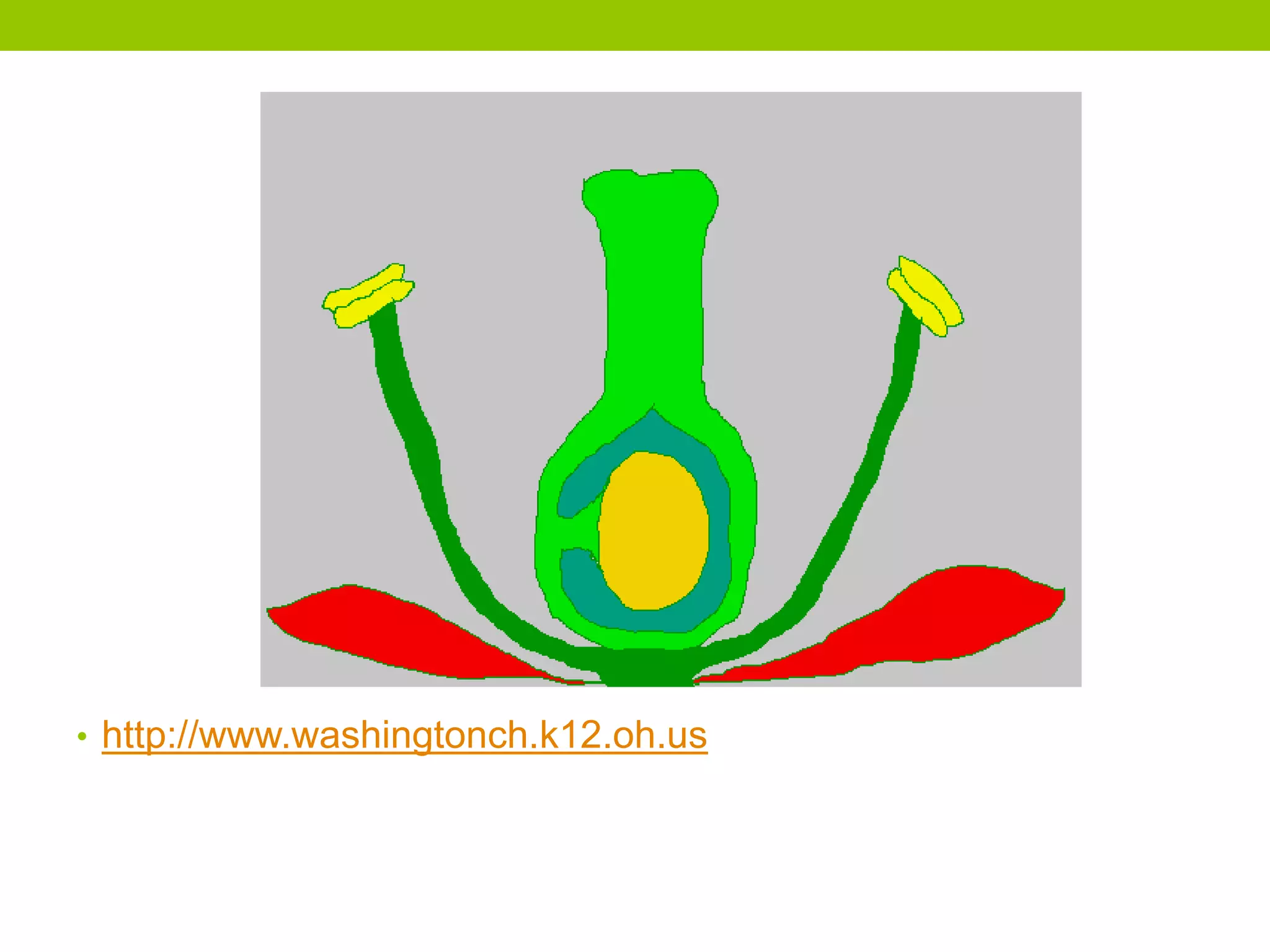 Sexual and asexual reproduction biota ed_pascual | PPT