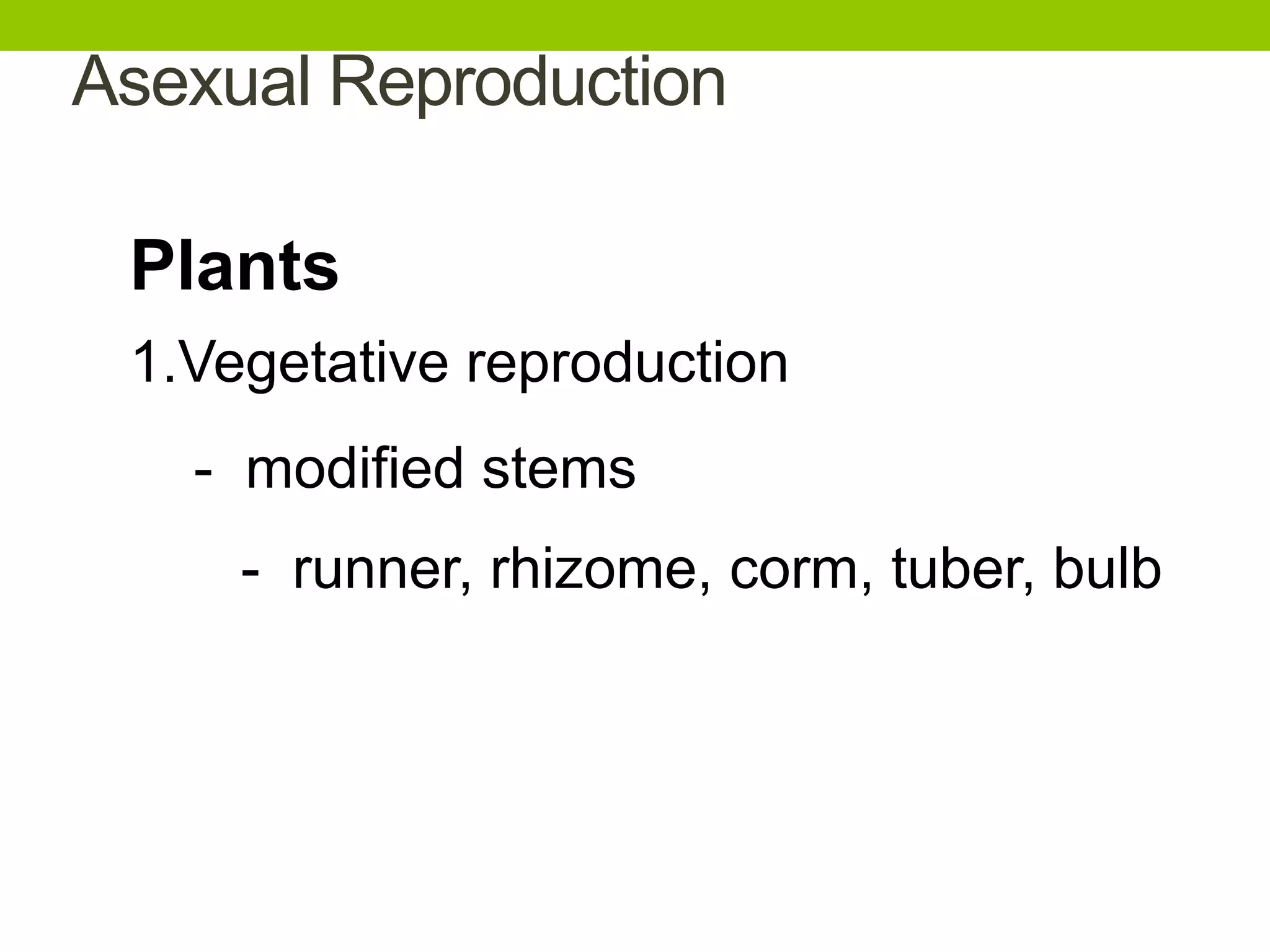 Sexual and asexual reproduction biota ed_pascual | PPT