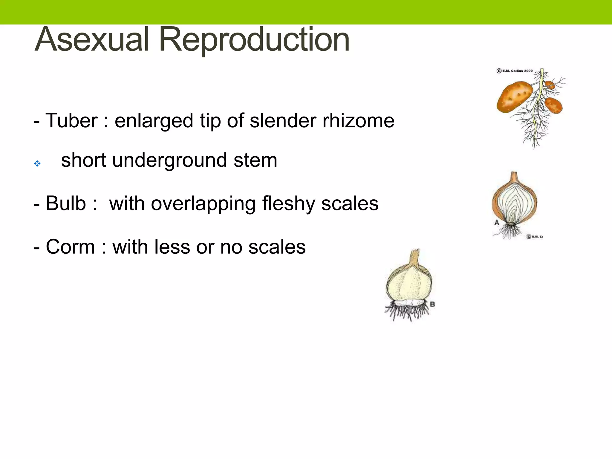 Sexual and asexual reproduction biota ed_pascual | PPTX