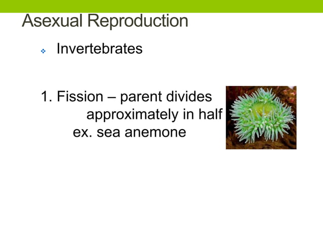 Sexual and asexual reproduction biota ed_pascual | PPT