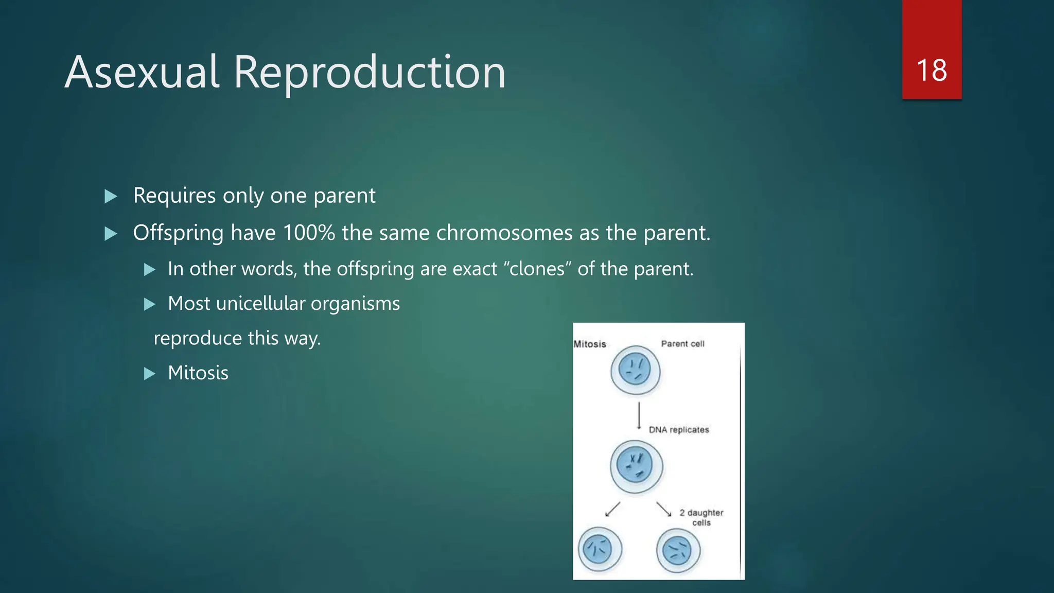 sexual and asexual reproduction grade 7.pptx
