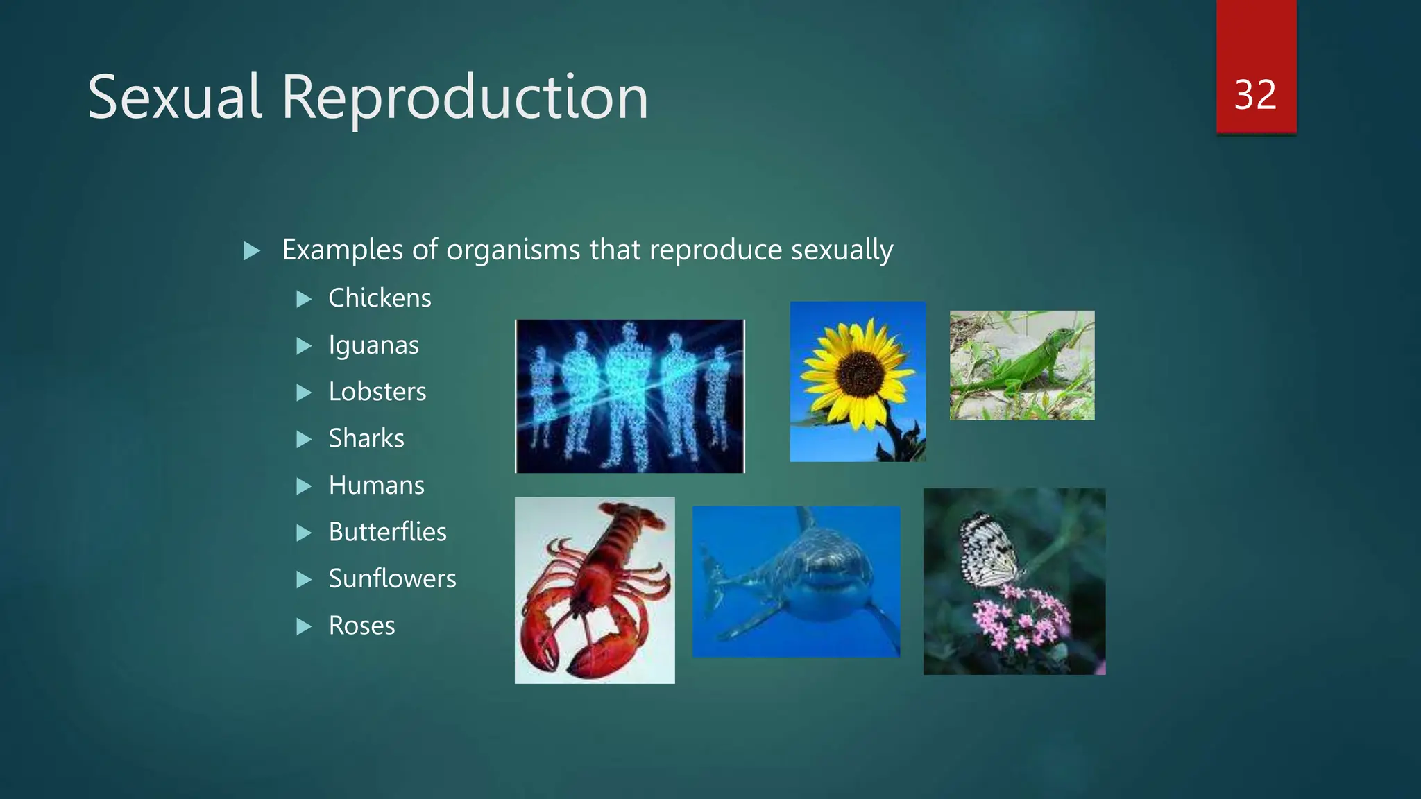 sexual and asexual reproduction grade 7.pptx