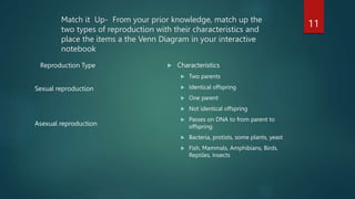 sexual and asexual reproduction grade 7.pptx