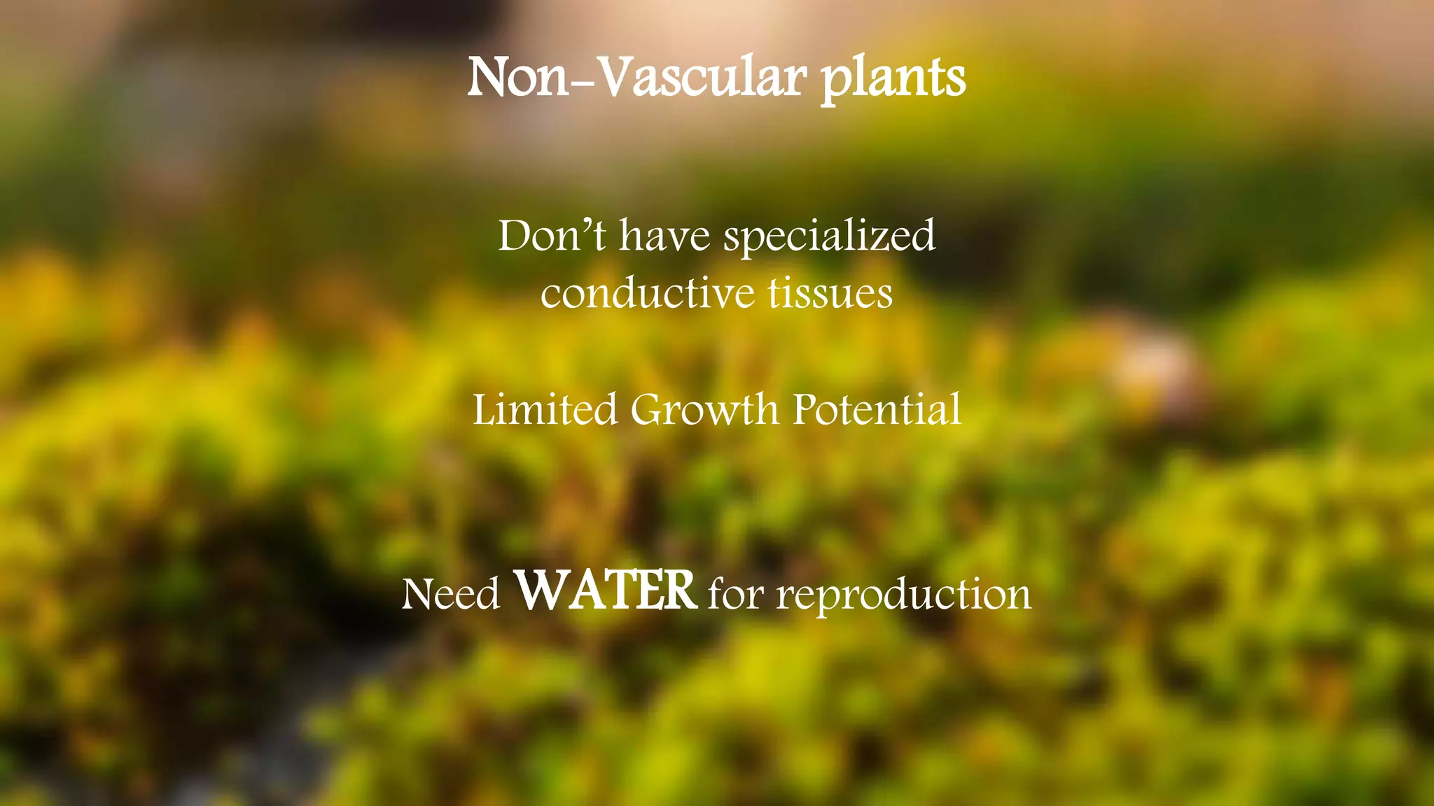 Sexual and Asexual Reproduction in Non-Vascular Plants | PPTX