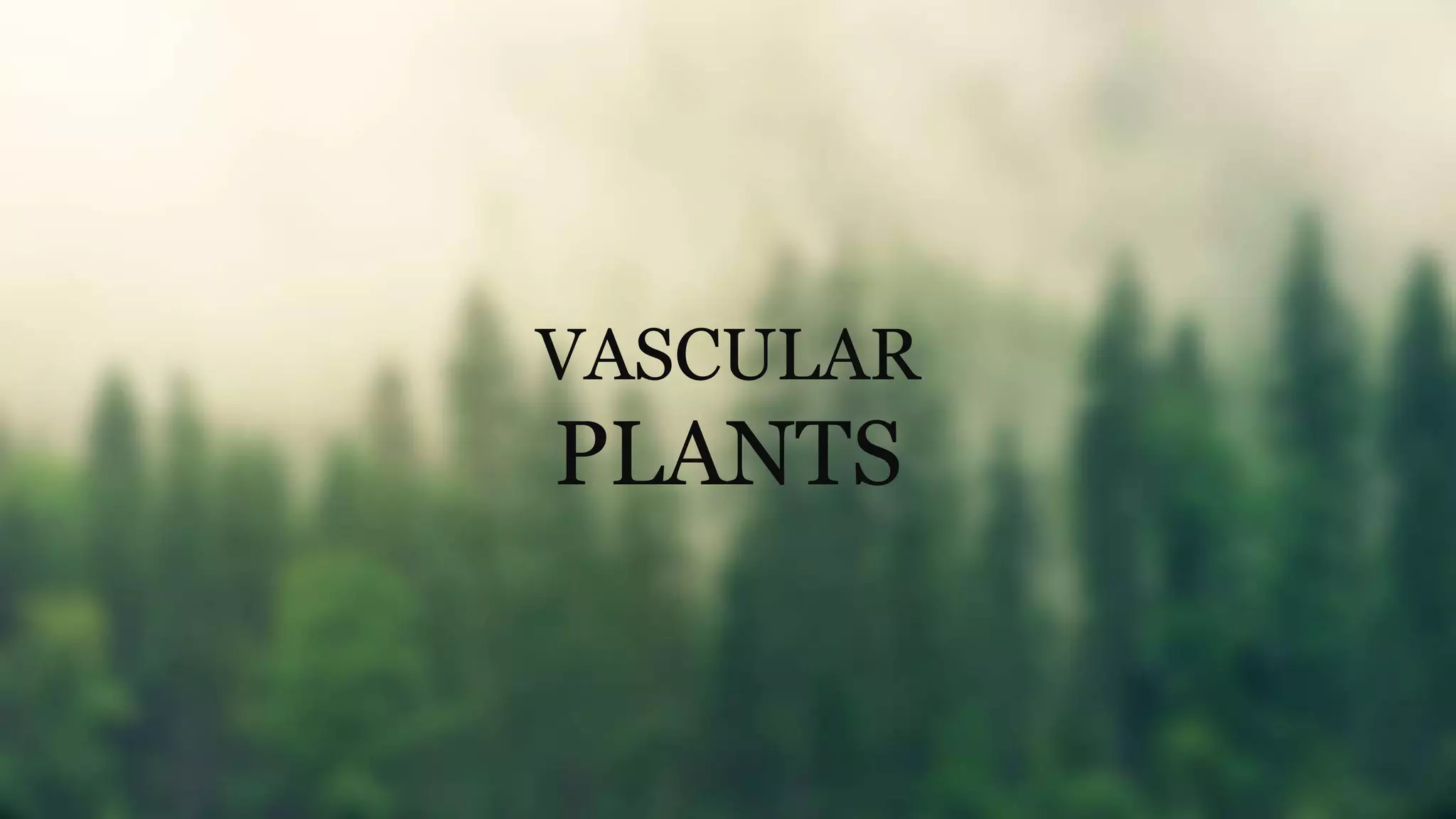 Sexual and Asexual Reproduction in Non-Vascular Plants | PPTX