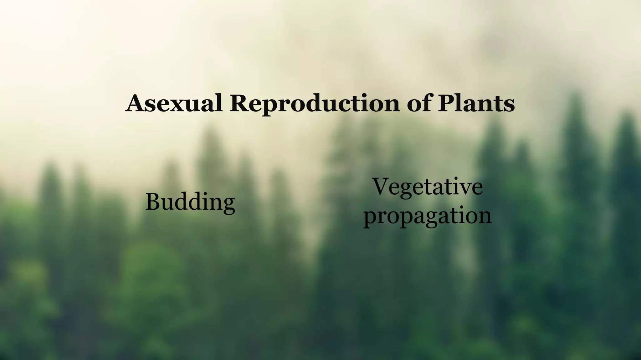 Sexual and Asexual Reproduction in Non-Vascular Plants | PPTX