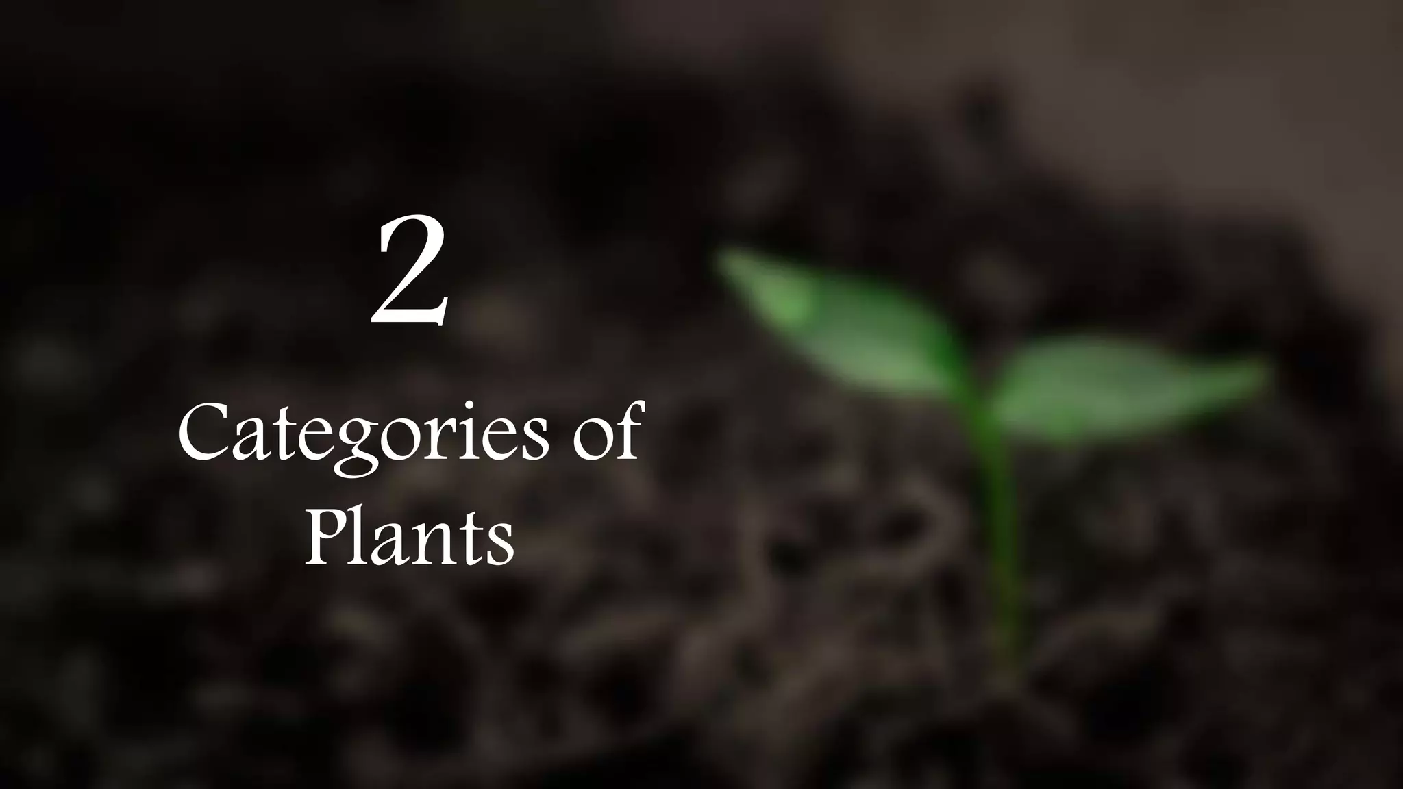 Sexual And Asexual Reproduction In Non Vascular Plants Pptx