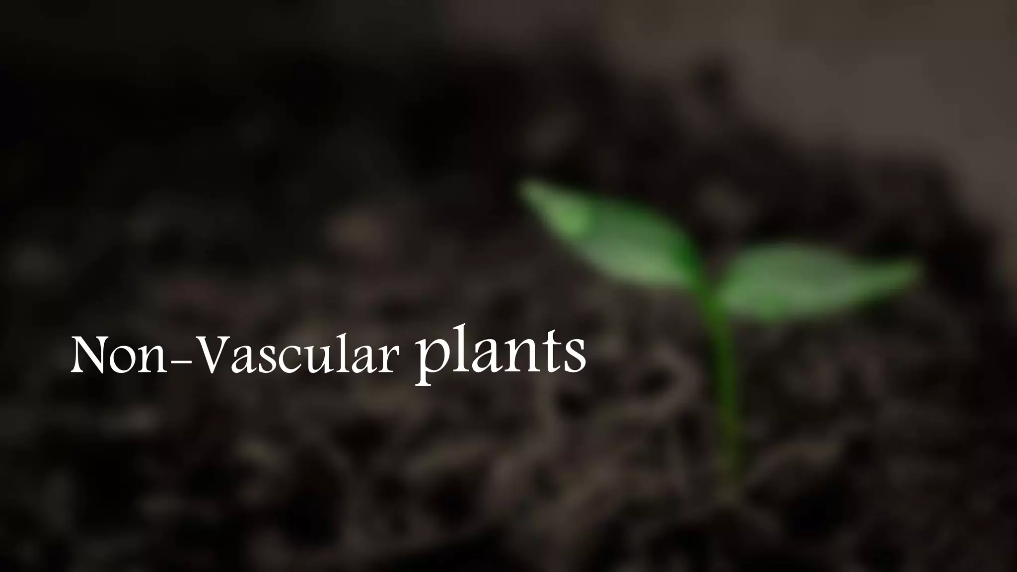 Sexual and Asexual Reproduction in Non-Vascular Plants | PPTX