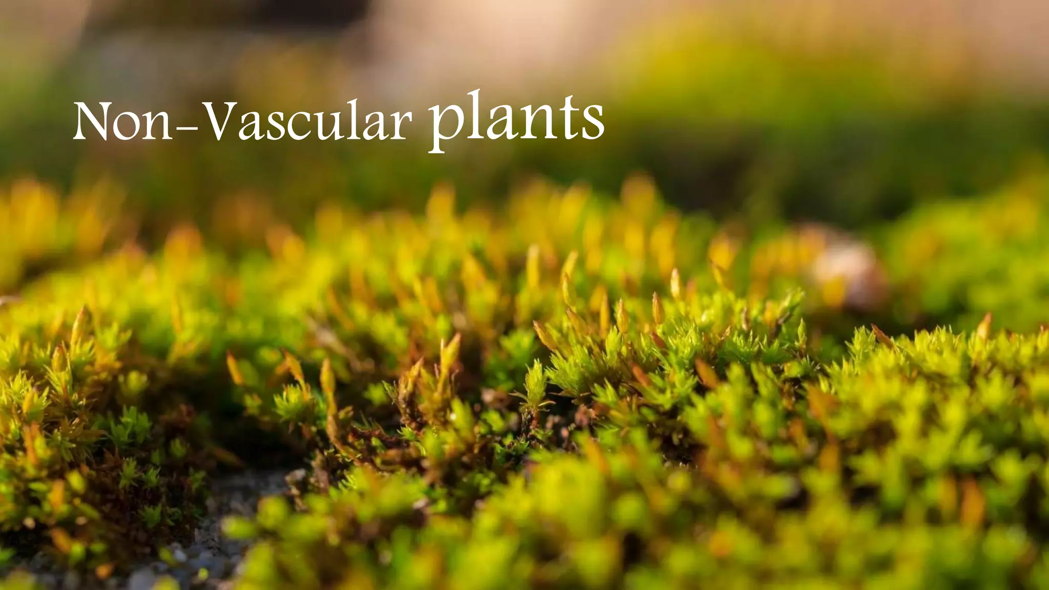 Sexual and Asexual Reproduction in Non-Vascular Plants | PPTX