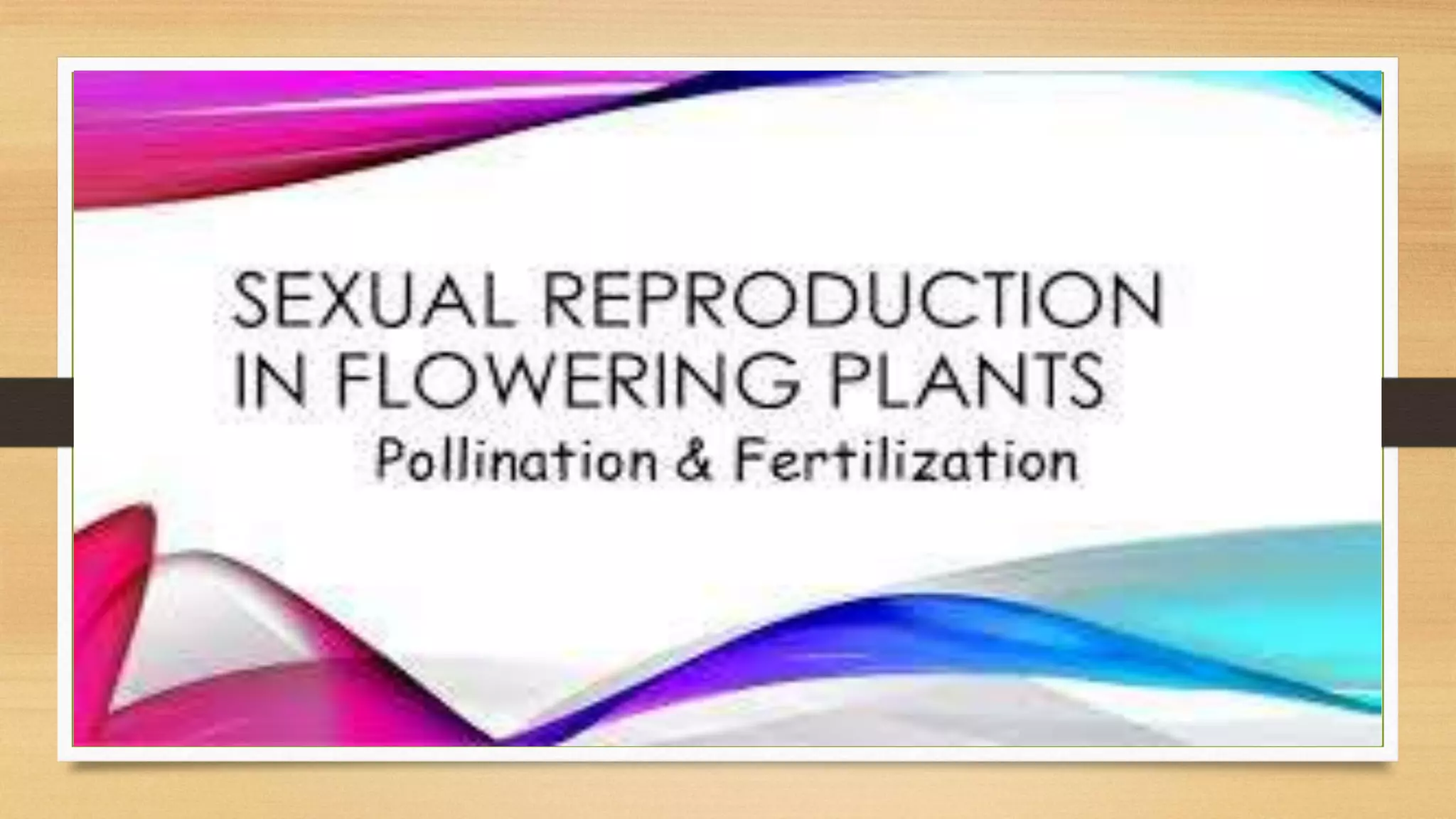 Sexual and Asexual Reproduction in Plants | PPTX