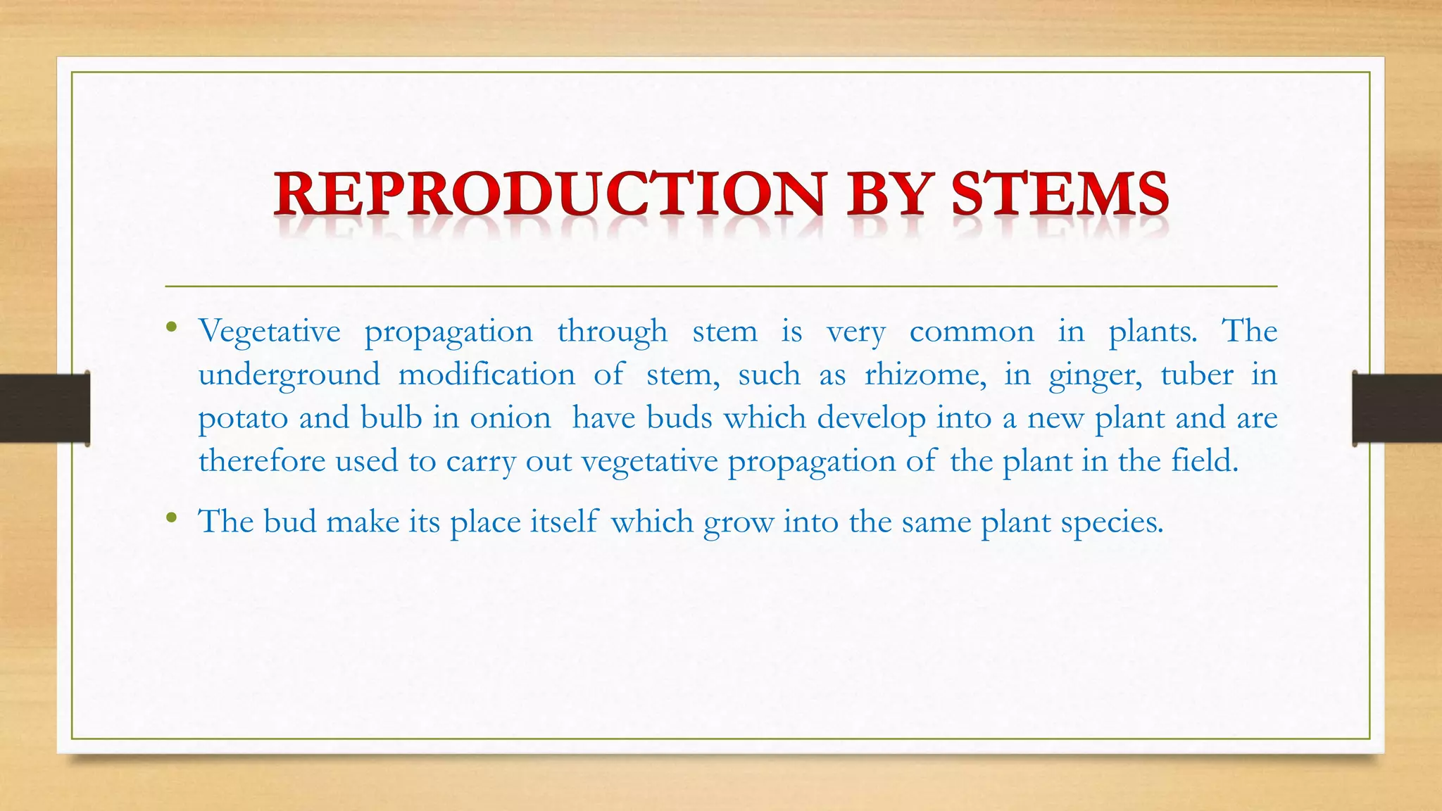Sexual and Asexual Reproduction in Plants | PPTX