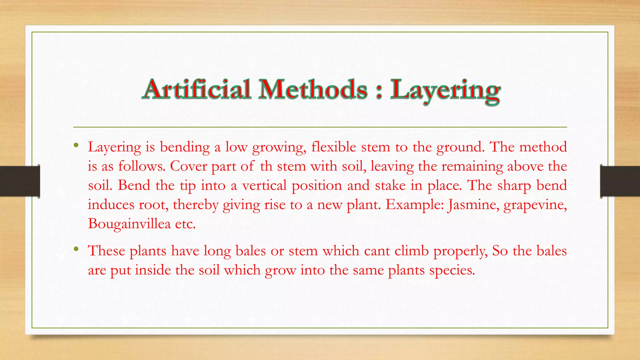 Sexual and Asexual Reproduction in Plants | PPTX