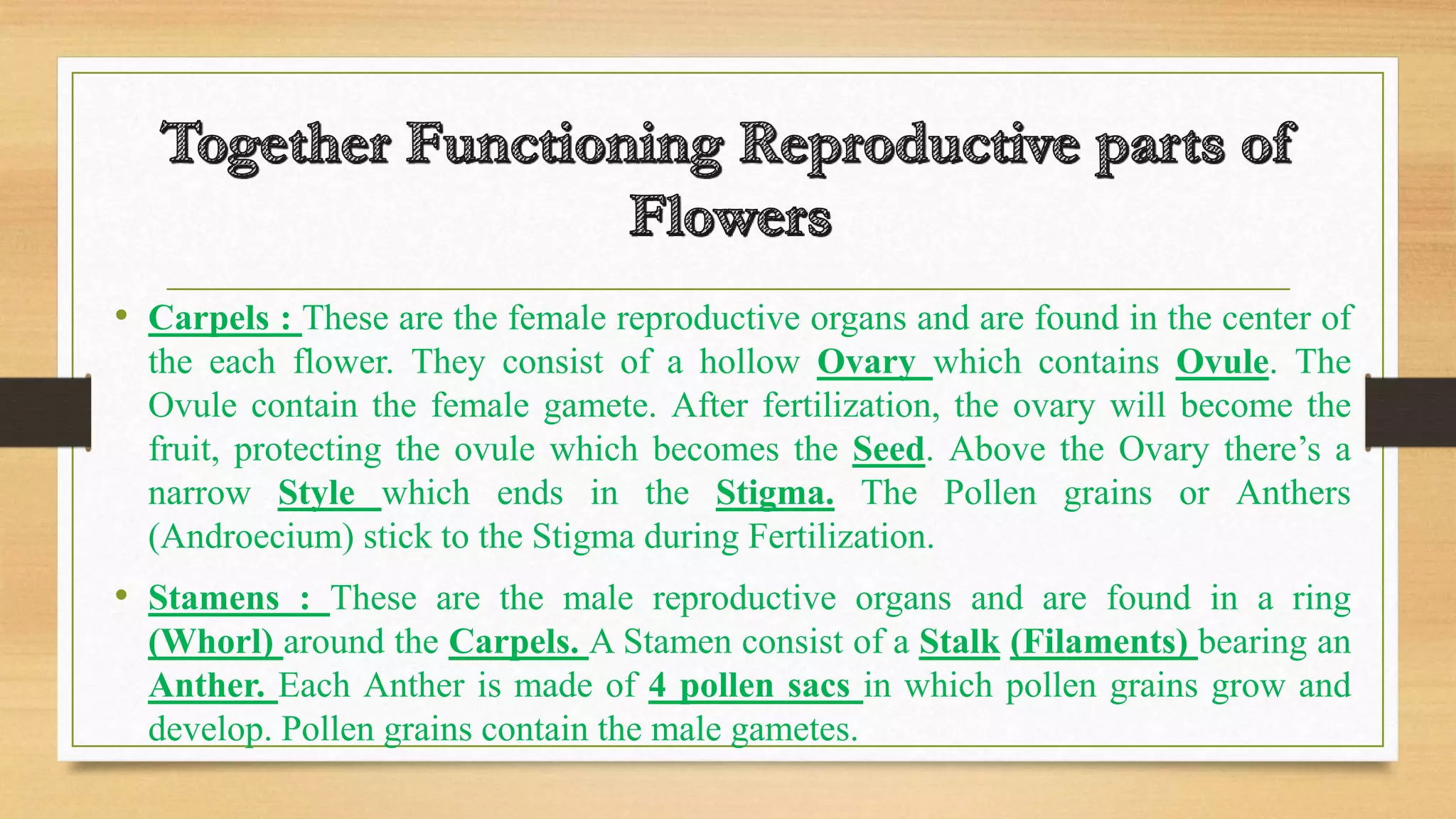 Sexual and Asexual Reproduction in Plants | PPTX