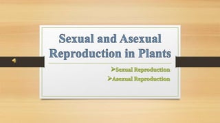 Sexual and Asexual Reproduction in Plants | PPTX