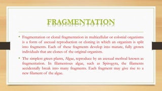 Sexual and Asexual Reproduction in Plants | PPTX