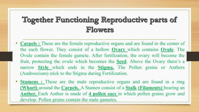 Sexual and Asexual Reproduction in Plants | PPTX | Infertility ...