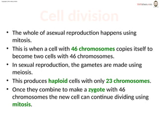 SEXUAL AND ASEXUAL REPRODUCTION ...