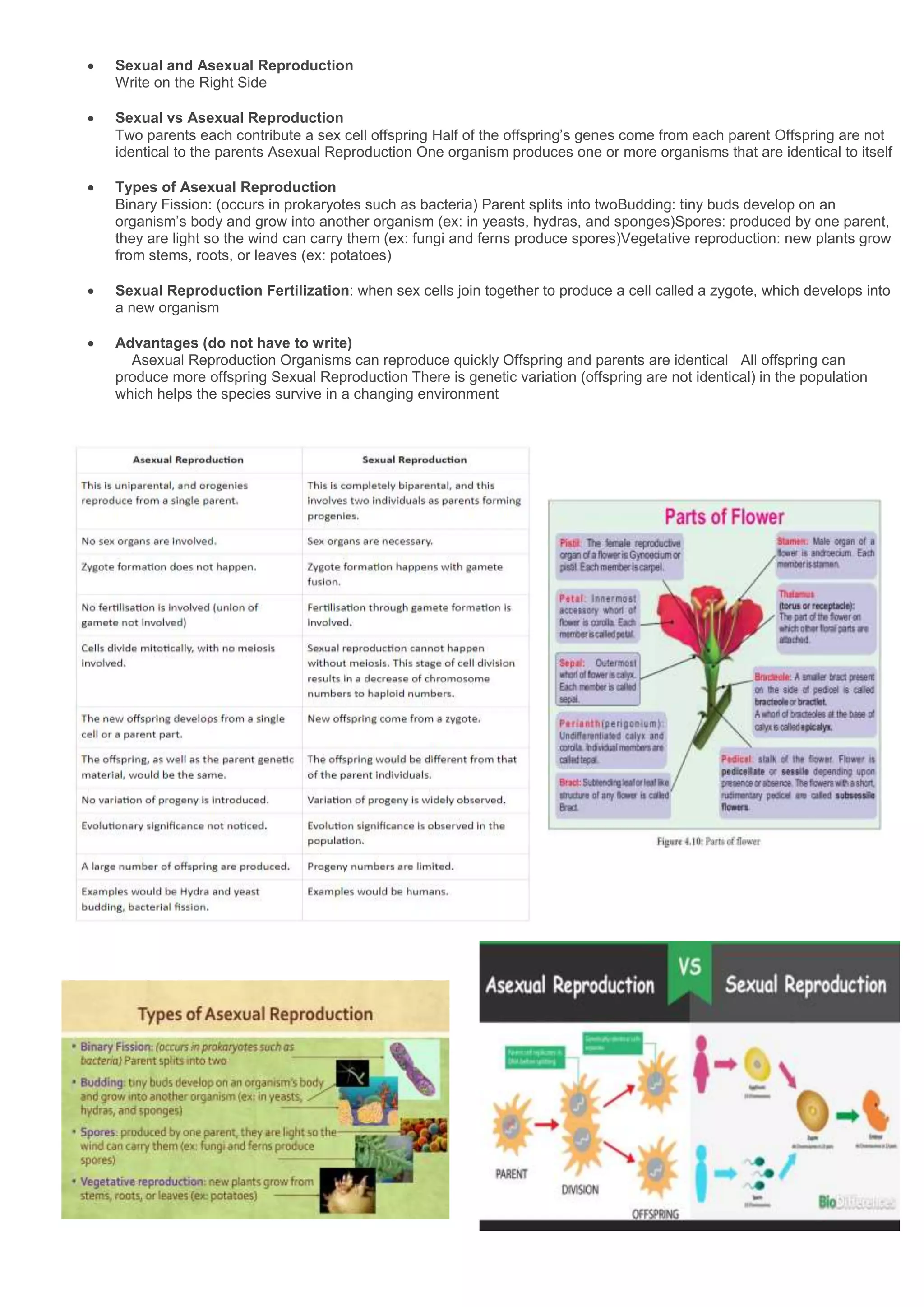 SEXUAL AND ASEXUAL REPRODUCTION WORKSHEET.docx | Infertility ...