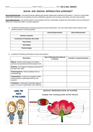SEXUAL AND ASEXUAL REPRODUCTION WORKSHEET.docx