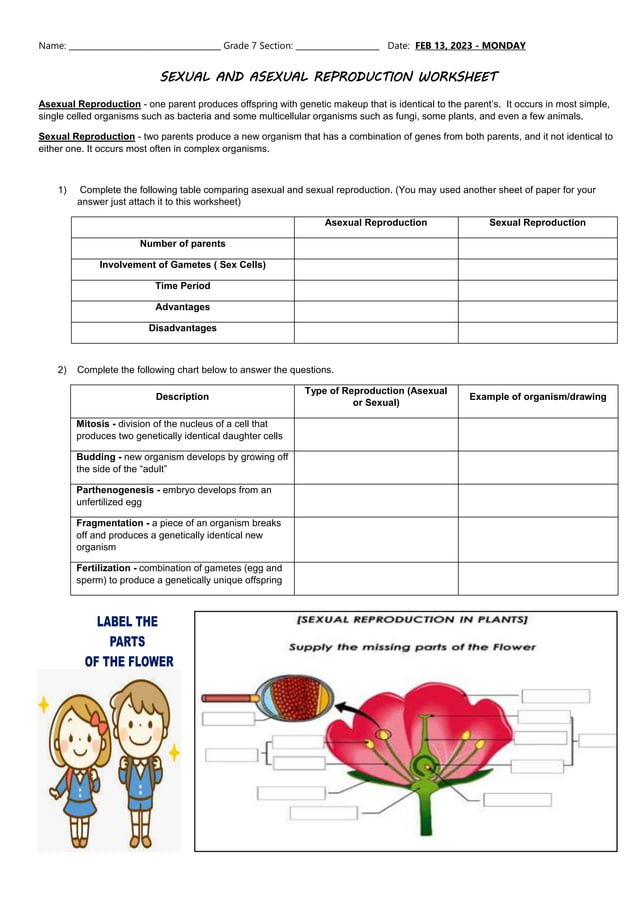 SEXUAL AND ASEXUAL REPRODUCTION WORKSHEET.docx | Infertility ...