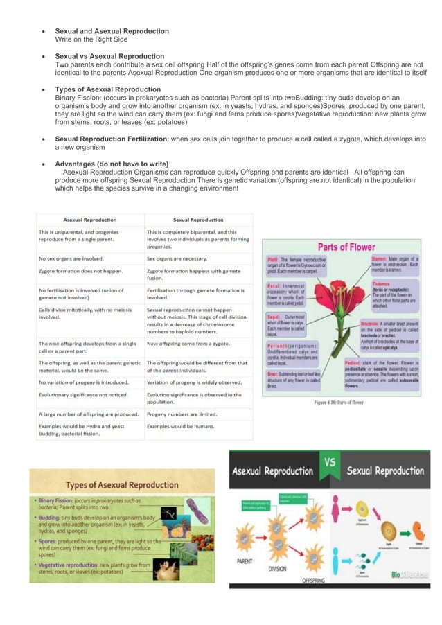 SEXUAL AND ASEXUAL REPRODUCTION WORKSHEET.docx | Infertility ...