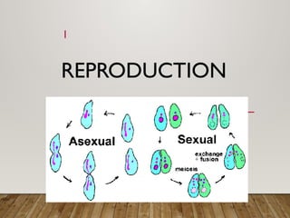 Sexual And Reproduction for grade 7 Science.pptx
