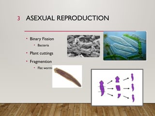 Sexual And Reproduction for grade 7 Science.pptx