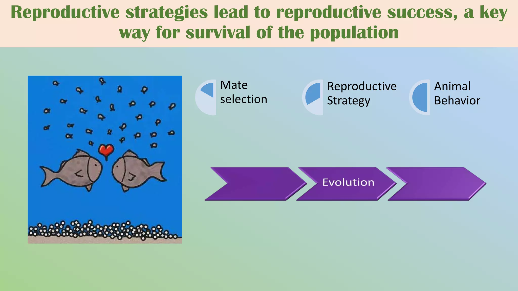 Sexual Behavior Sexual Asymmetry And Sexual Dimorphism Ppt