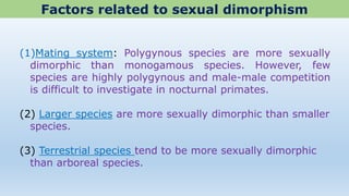 What Are Sexually Dimorphic Behaviours In Dogs