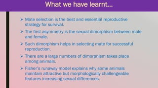 What Are Sexually Dimorphic Behaviours In Dogs