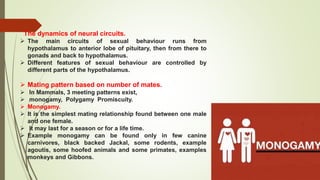 sexual behavior.pptx