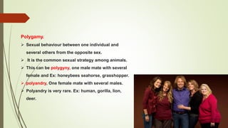 sexual behavior.pptx