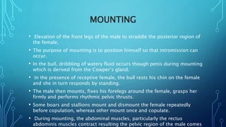 sexual behavior in bull andrology presentation by srg.pptx