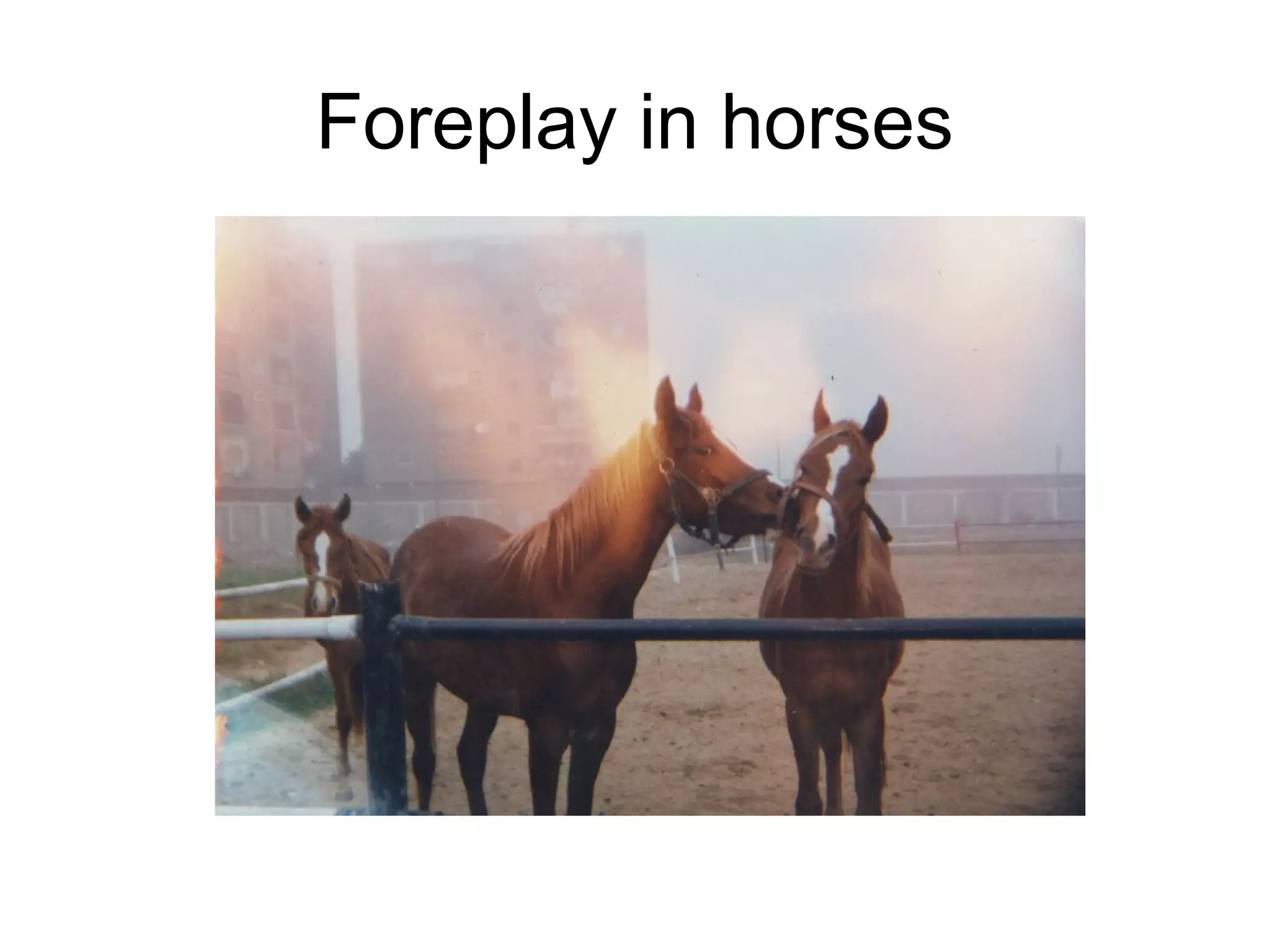 Reproductive behaviour: 1-Sexual behaviour in animals | PPT