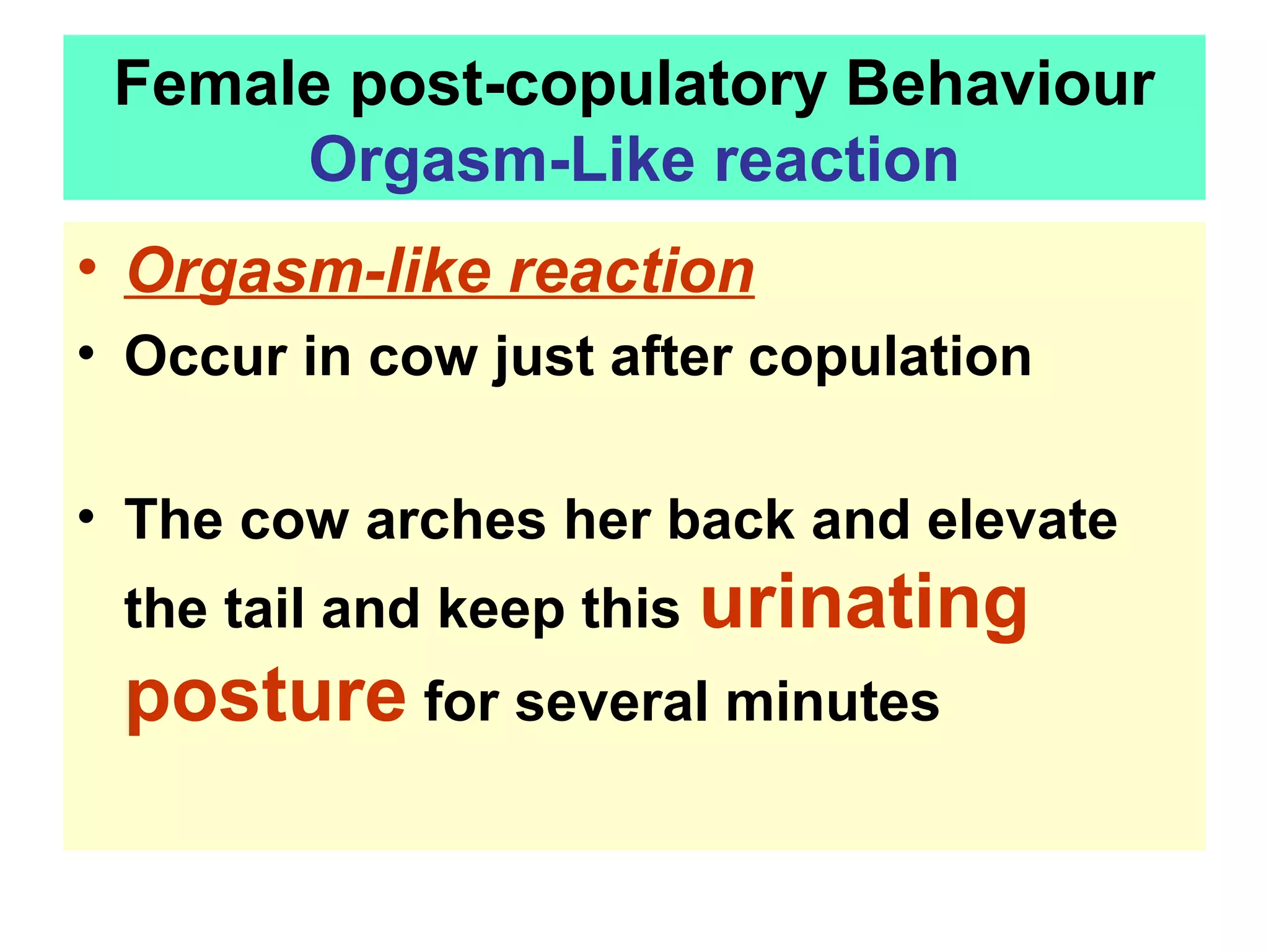 Reproductive behaviour: 1-Sexual behaviour in animals | PPT