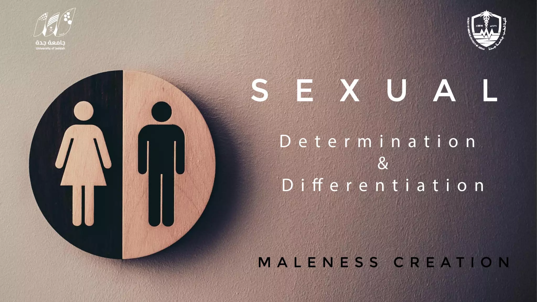 Sexual Determination and Differentiation | PDF