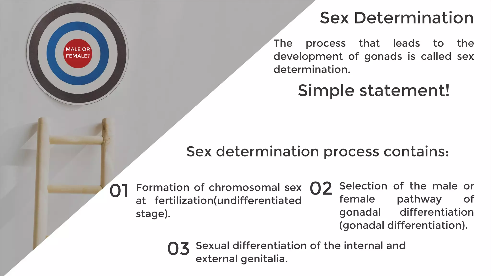 Sexual Determination and Differentiation | PDF