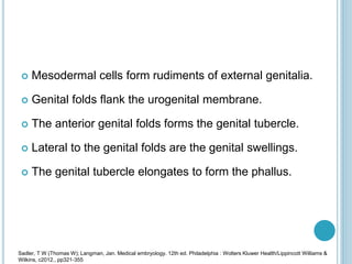 Sexual Development.ppt