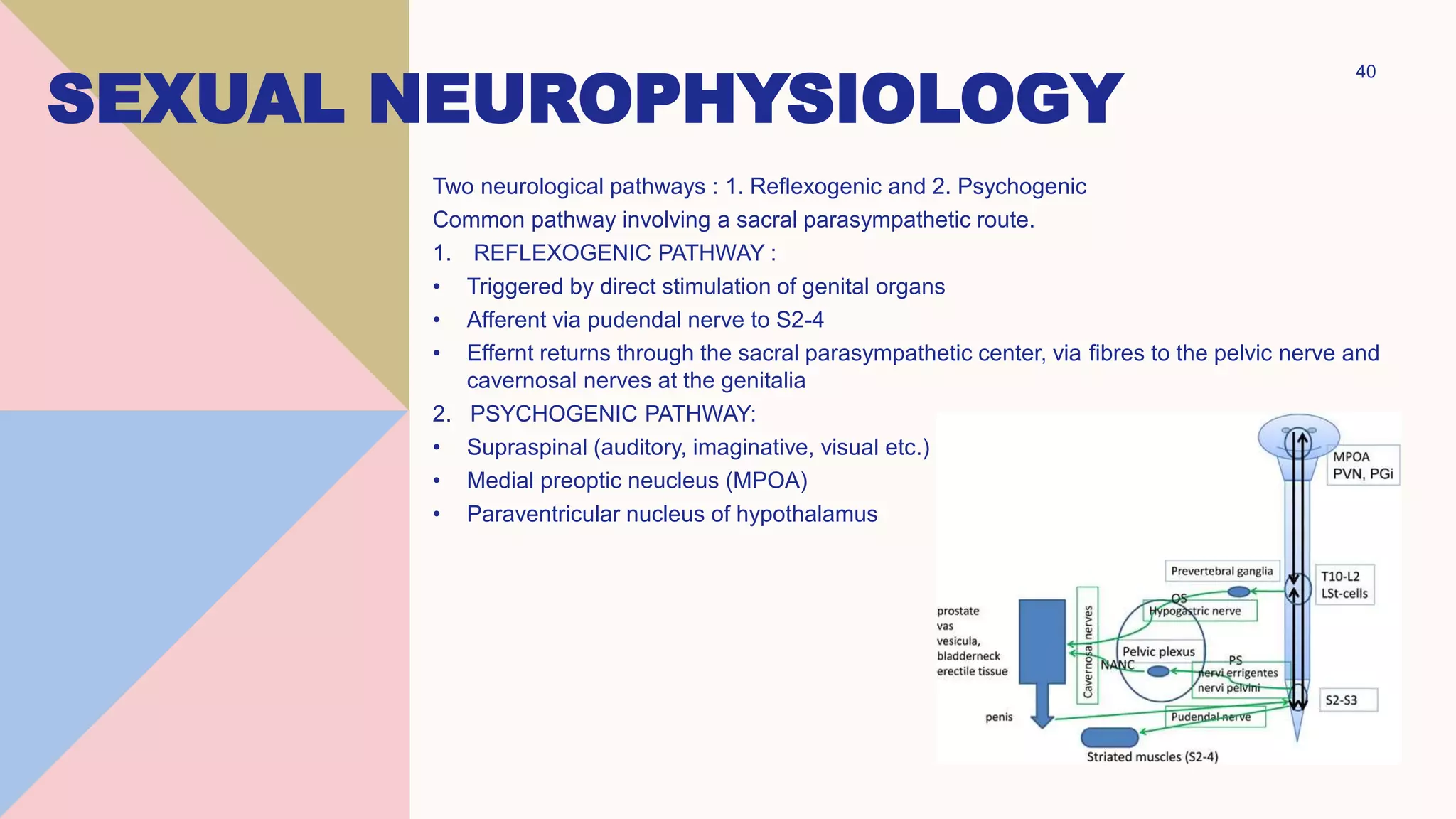 SEXUAL DYSFUNCTION & REHABILITATION.pptx