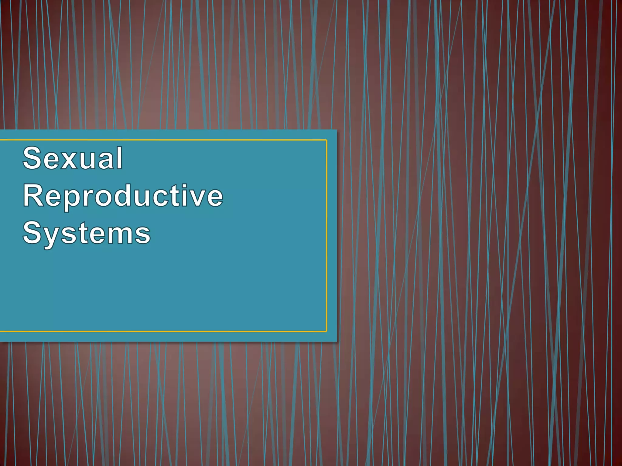 Sexual education[1][1] | PPT