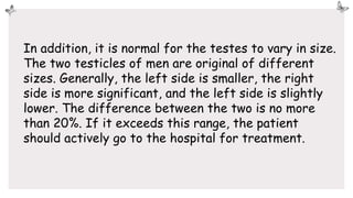Sexual Health: Your Testicle Size Says a Lot | PPTX | Sexual Conditions ...